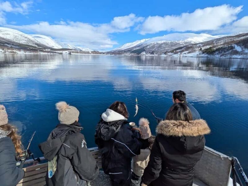 Tromsøs Top-Rated Fjord & Fishing Cruise  Lunch included - Key Points