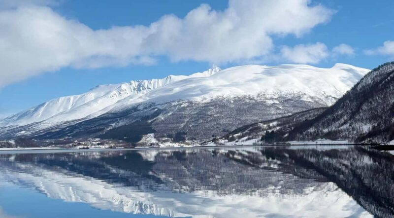 Tromsøs Top-Rated Fjord & Fishing Cruise  Lunch included - Seasonal Variations & Special Notes