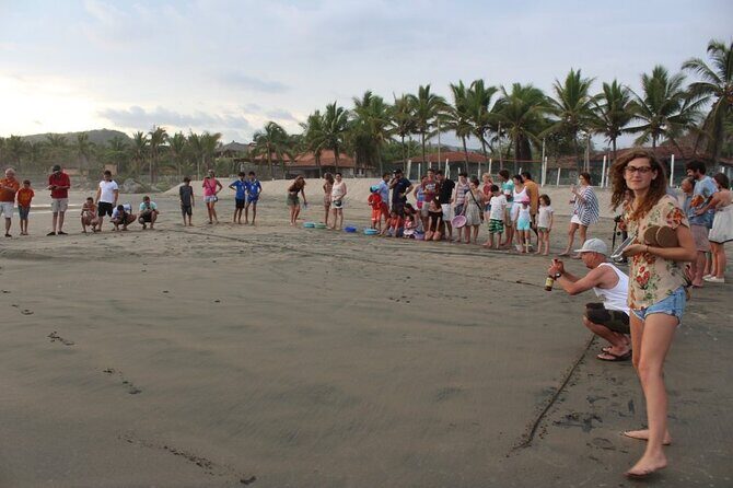 Troncones, Manzanillo Bay and Majahua Beach Tour - Comprehensive Review of the Troncones, Manzanillo Bay, and Majahua Beach Tour