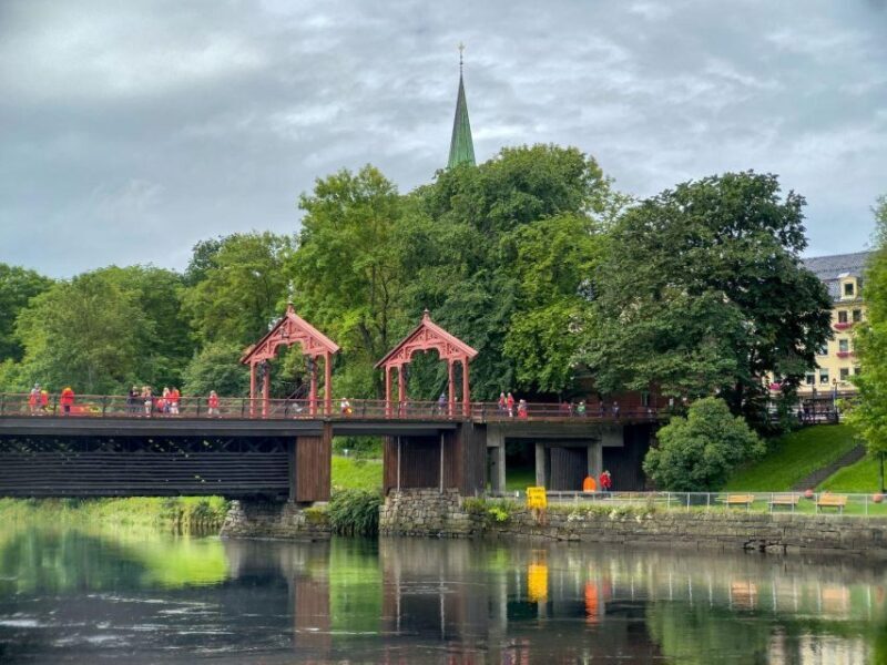 Trondheim: City Highlights Bus and Walking Tour - Detailed Review of the Trondheim City Highlights Tour