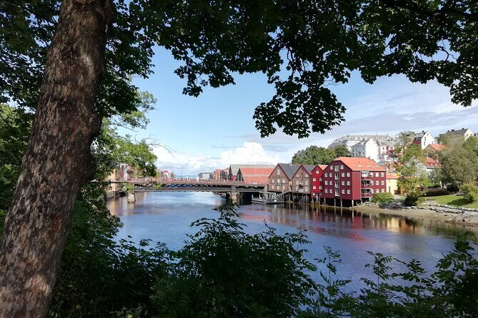 Trondheim: Discover the city of kings with a local guide - A Detailed Look at What the Tour Offers