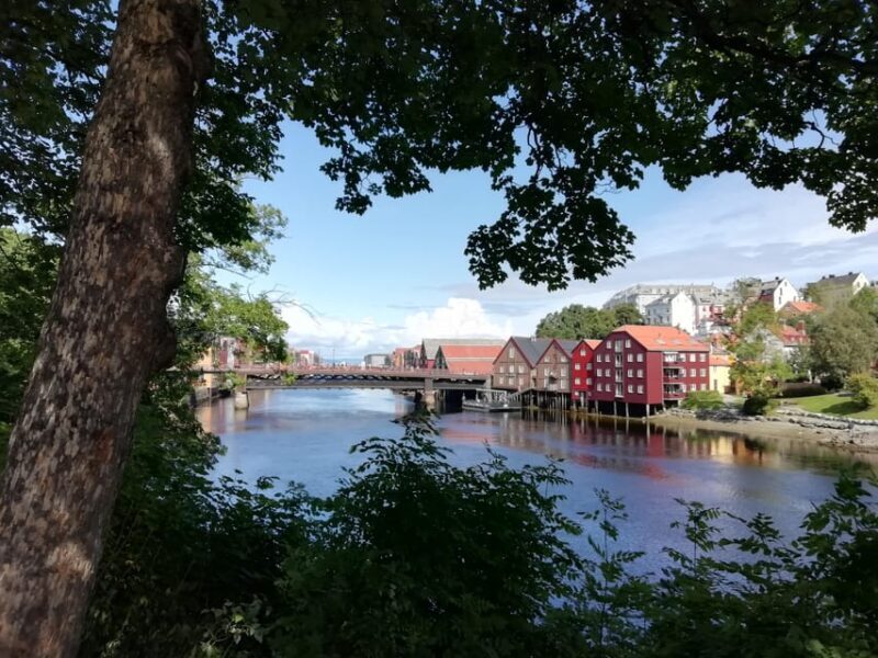 Trondheim : Explore the city of kings with a local guide - Discovering Trondheim in 2 Hours: An Inside Look