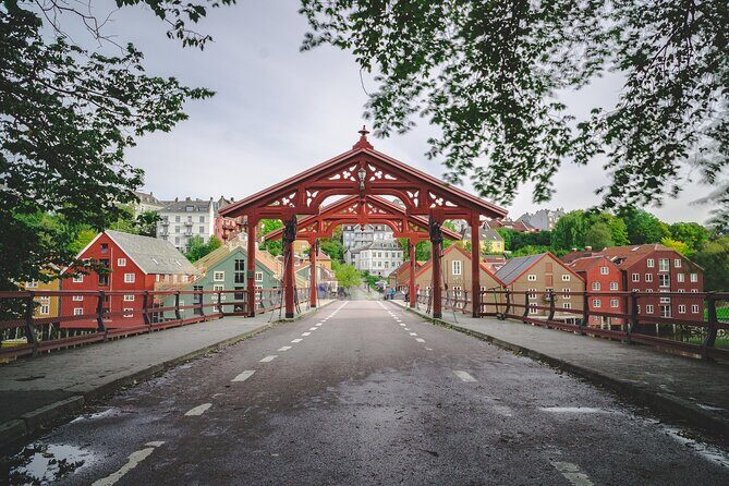 Trondheim Private Walking Tour - Who It’s Best For
