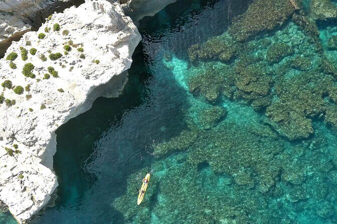 Tropea Coast of the God - Exclusive Boat Tour - Practical Details for Planning