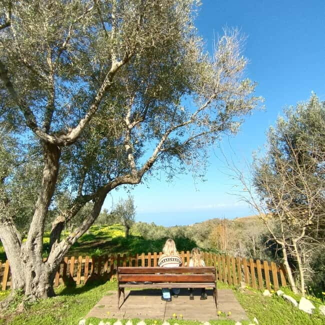 Tropea: Lemon Experience with Limoncello Making - Key Points
