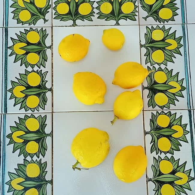Tropea: Lemon Experience with Limoncello Making - Discovering Tropea’s Lemon Charm