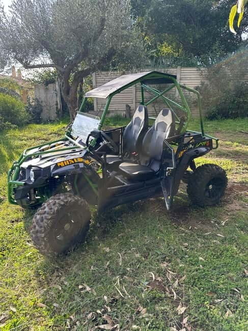 Tropea: Quad or buggy tour with views of Capo Vaticano - Evaluating the Value