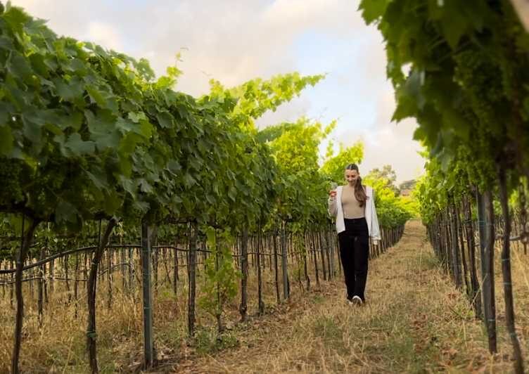 Tropea: Wine and Food Tasting - The Itinerary: What You Can Expect