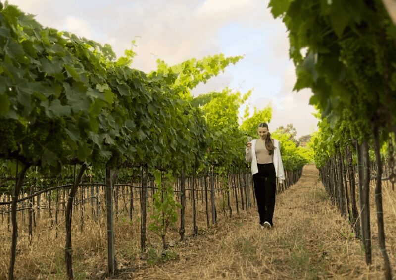 Tropea: Wine and Food Tasting - The Practical Side: Timing, Cost, and Logistics