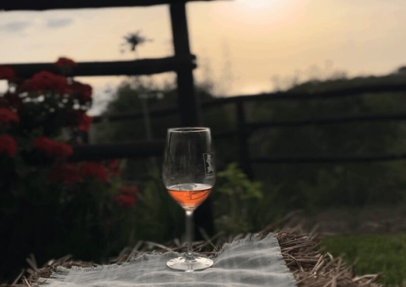 Tropea: Wine and Food Tasting - Weather Considerations