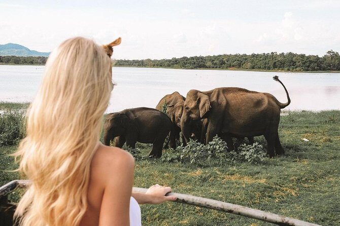 Tropical Ceylon | 8 Days - Frequently Asked Questions