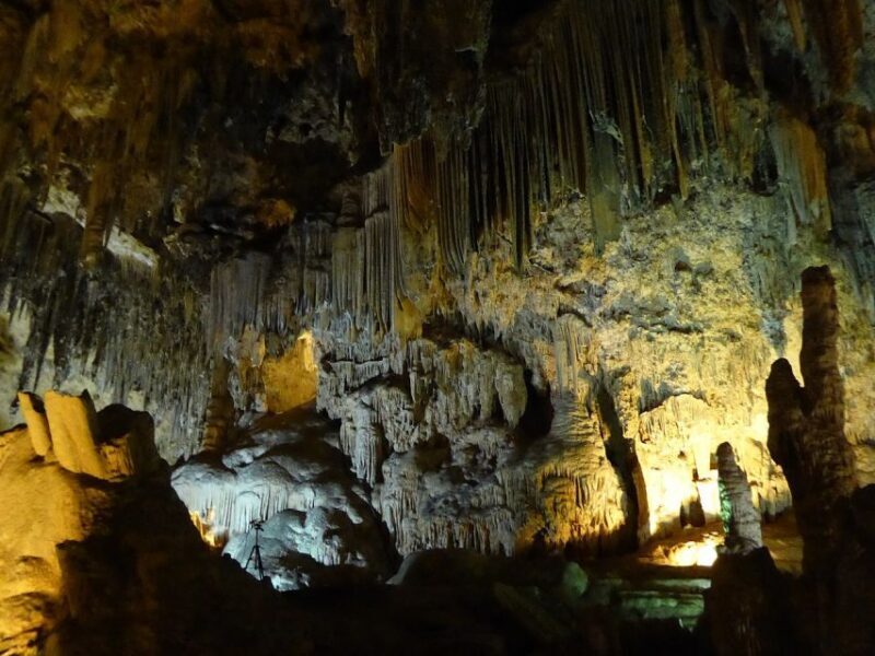 Tropical Coast and Caves of Nerja Day Tour from Granada - Who Might Want to Skip It