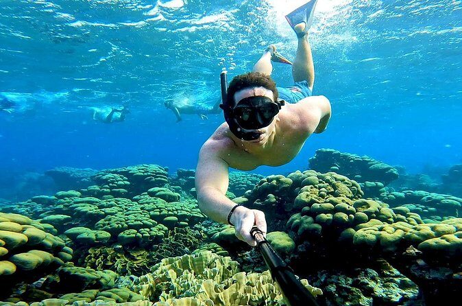 Tropical Dream Snorkel and Dinner Sail in Aruba - FAQ