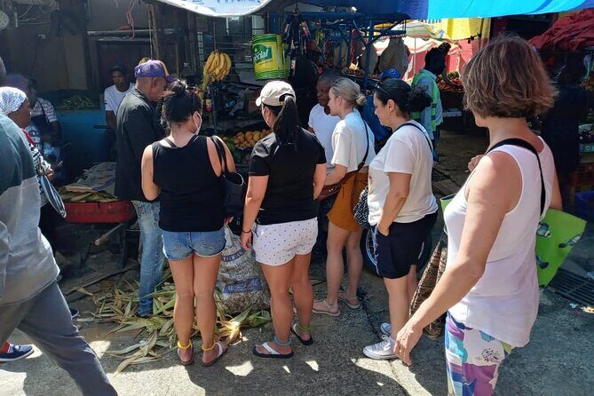 Tropical Escape Tour - A Deep Dive into the Tropical Escape Tour