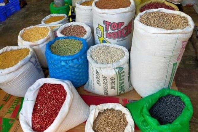 Tropical Escape Tour - The Sum Up: Is It Worth It?