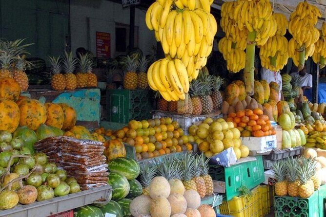 Tropical Escape Tour - FAQs