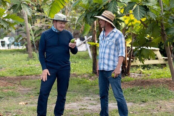 Tropical Fruit Hunting Tour at Grimal Grove - Authentic Feedback and Insights