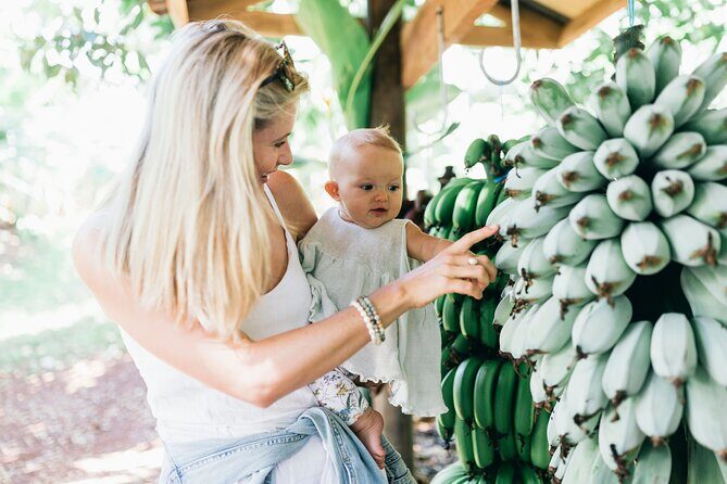 Tropical Fruit World Farm Full Tour - An In-Depth Look at the Full Experience