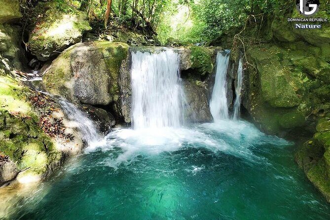 Tropical Lifestyle Puerto Plata - Private Transfer - An In-Depth Look at the Transfer Experience