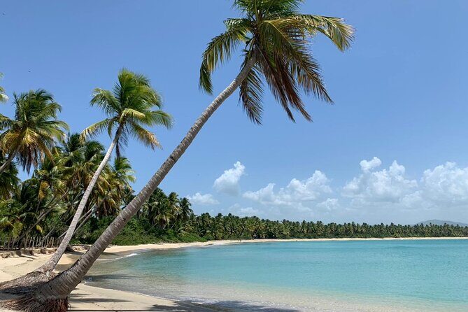 Tropical Quads (2 PERSONS PER QUADS ) - Authentic Traveler Feedback