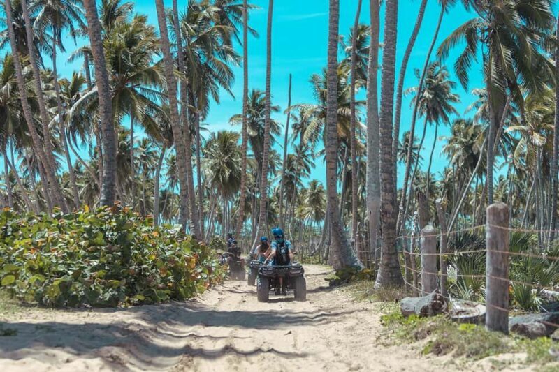 Tropical Quads in Punta Cana - What the Tour Offers in Detail