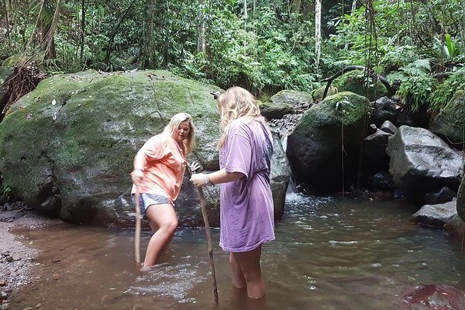 Tropical Rain Forest Explorer Hike In St. Kitts - Who Will Love This Tour?