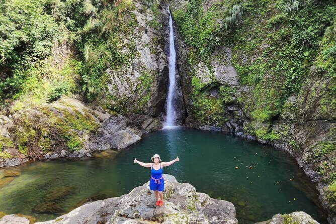 Tropical Rainforest Wonders Full Day Experience from San Juan - What’s Included, and Why It Matters