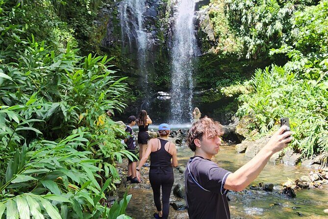 Tropical Rainforest Wonders Full Day Experience from San Juan - Price and Value