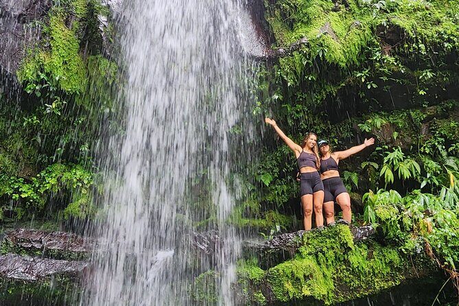 Tropical Rainforest Wonders Full Day Experience from San Juan - The Sum Up: Is It Worth It?