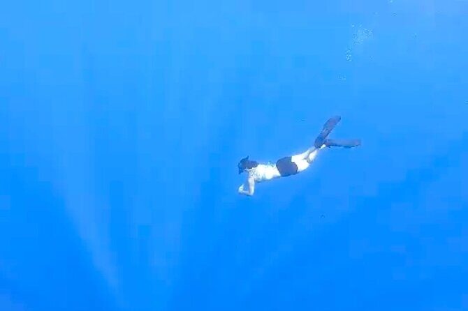 Tropical Reef & Wildlife Boat Snorkel Adventure - Limitations and Considerations