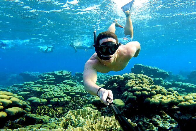 Tropical Sailing Experience with BBQ Lunch or BBQ Dinner in Aruba - An In-Depth Look at the Aruba Sailing Tour