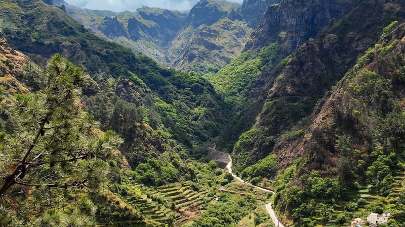 Tropical Tide, Porto Moniz & Fanal Forest 4x4 Jeep Tour - The Driving Experience and Guides