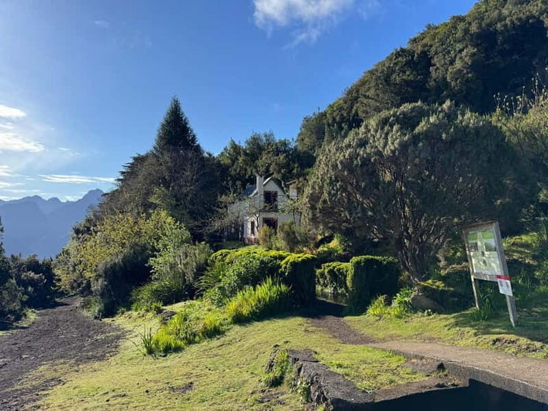Tropical Tide, Porto Moniz & Fanal Forest 4x4 Jeep Tour - Who Will Love This Tour?