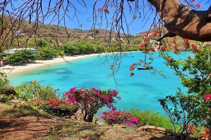 "Tropically Yours" - Grand Anse Beach: Pure Tropical Bliss
