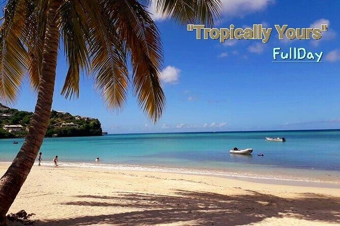 "Tropically Yours" - Grenada Distillers Limited: A Taste of the Island’s Spirit