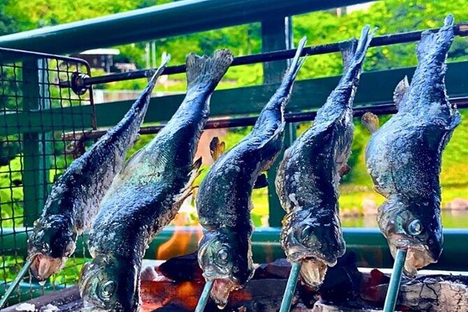 Trout Fishing Adventure Near Tokyo - An Authentic Fishing Experience Close to Tokyo