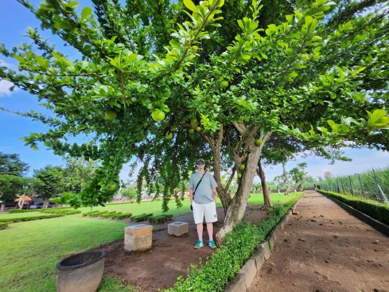 Trowulan Tour Ruin of Majapahit Kingdom - An In-Depth Look at the Trowulan Tour Experience
