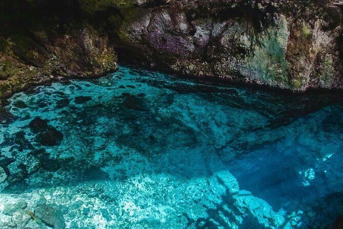 TRS Turquesa- Round Trip Shuttle - Punta Cana Airport - Authentic Experience and Customer Feedback