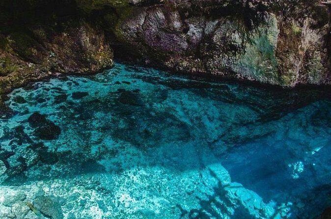 TRS Turquesa- Round Trip Shuttle - Punta Cana Airport - Is This Service Worth It?