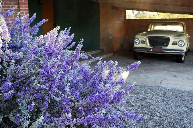 True Crime Walking Tour in Tucson's Historic Blenman-Elm - FAQ