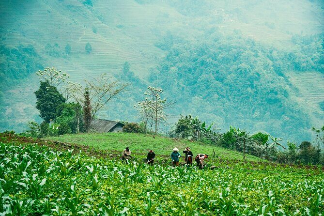 True North Ha Giang Loop Motorbike Tour 4 Days of Adventures - Analyzing the Value
