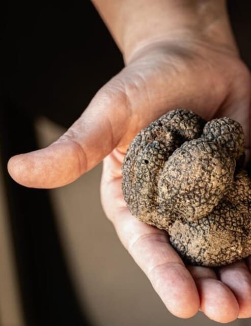 Truffle experience from Naples and Salerno - FAQ
