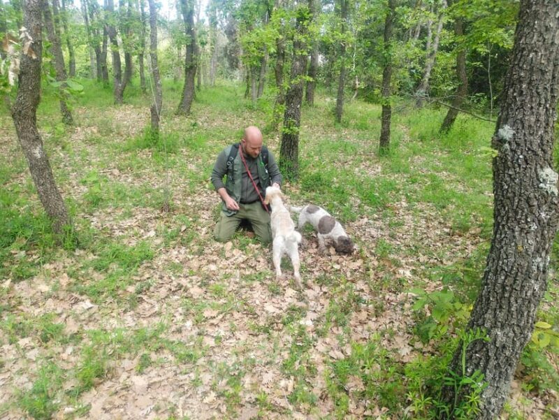 Truffle Experience - Key Points