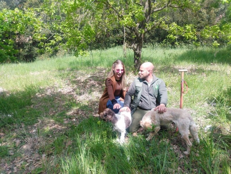 Truffle Experience - The Experience in Perspective
