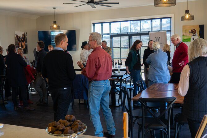 Truffle Hunt and Taste Experience in Oberon, NSW Australia - The Sum Up