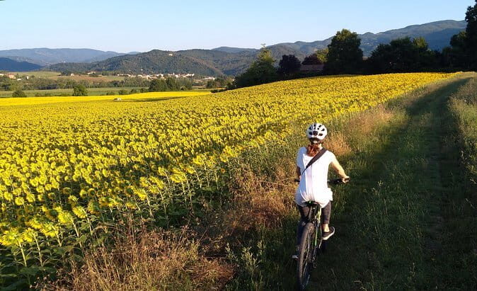 Truffle hunt in Chianti with cooking class and sunset dinner - Authenticity and Value: What Travelers Say