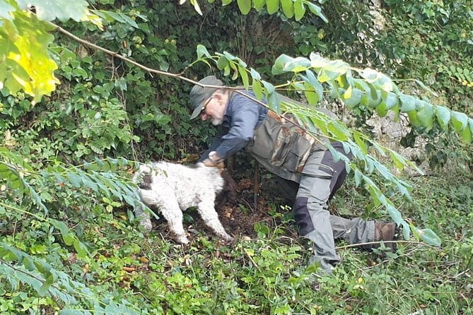 Truffle hunt, Lunch, Horse riding, a top half-day near Florence - Key Points