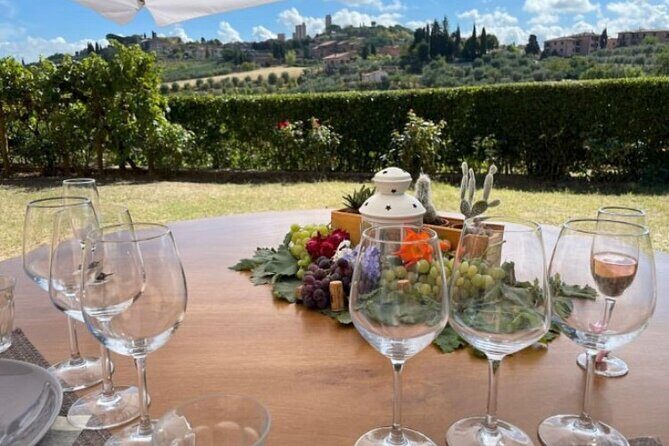 Truffle Hunting and Cooking Class - Exploring the Experience: From Vineyards to Truffle Trails