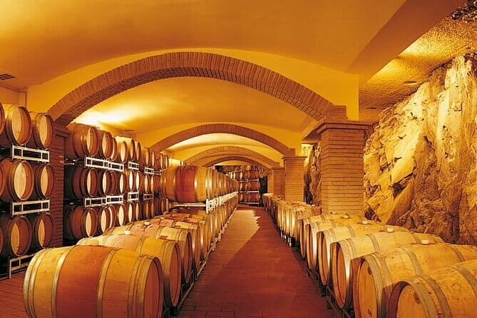 Truffle hunting and lunch experience, with Vinci and winery. - In-Depth Look at the Tuscany Truffle and Wine Tour