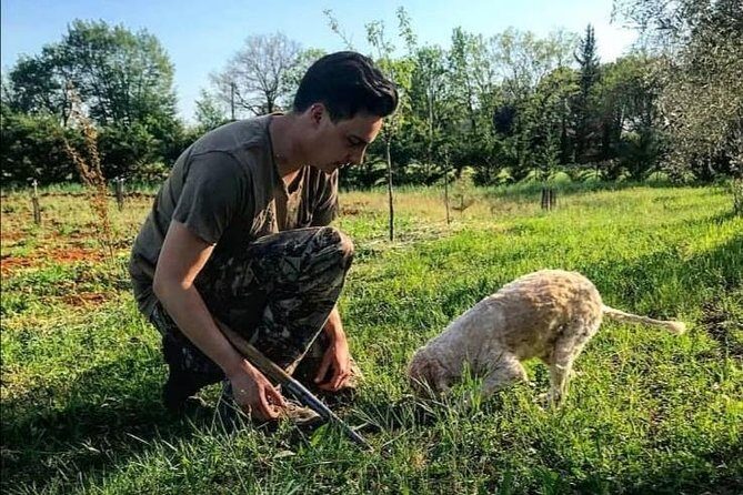 Truffle hunting - Setting and Location: Starting in San Gimignano
